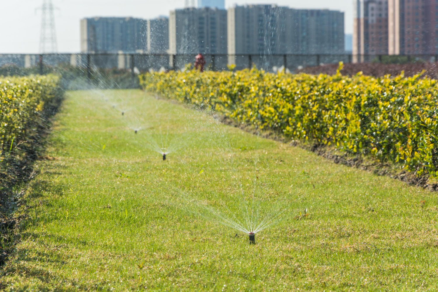 Fix Common Irrigation Issues with Ease